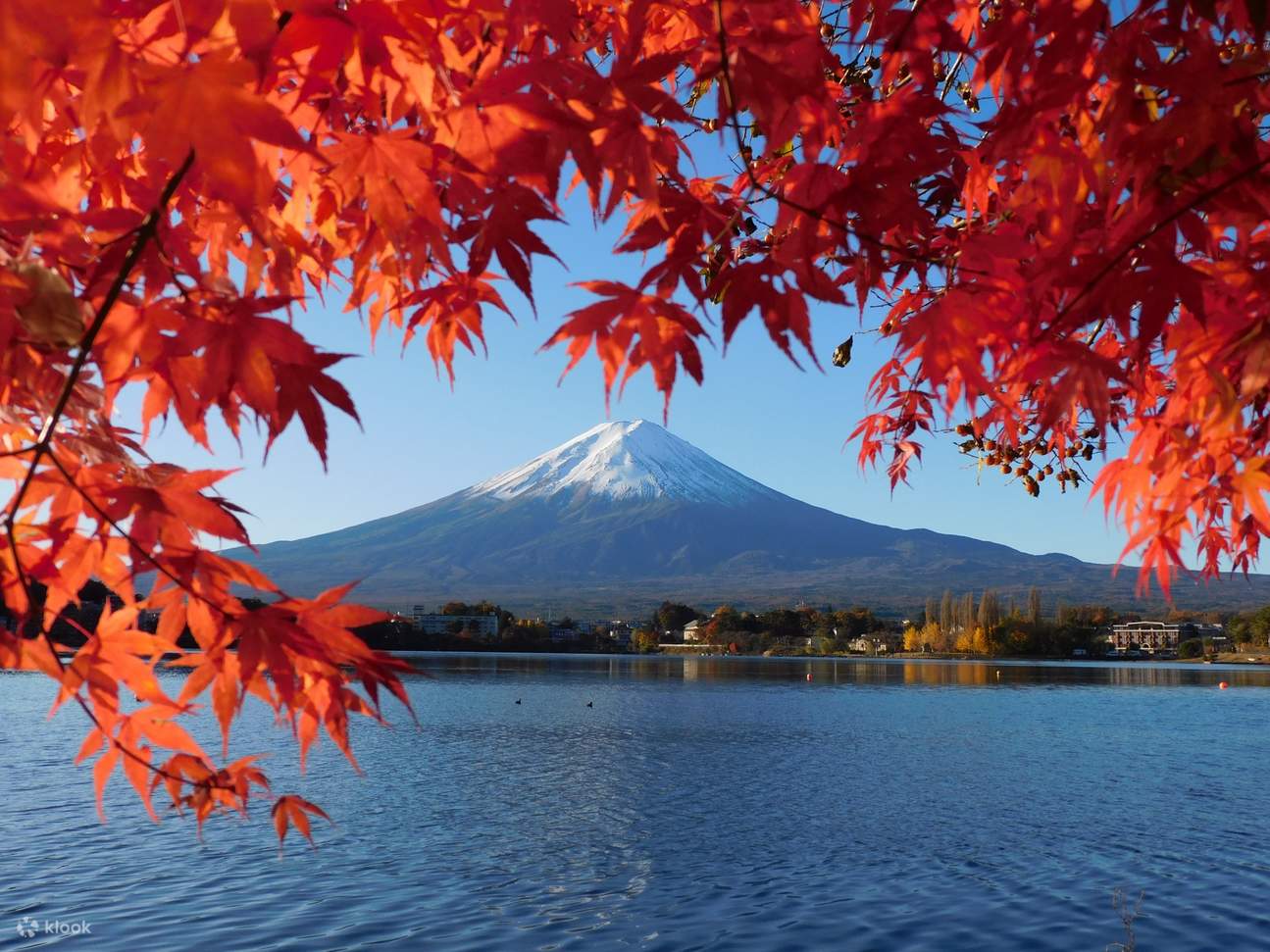 Mount Fuji Lawson Convenience Store, Round Trip to Lake Kawaguchi ...